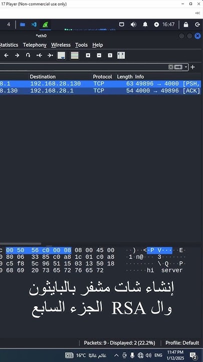 🔒 عايز تتعلم تبني شات مشفر بالكامل باستخدام Python وRSA؟ 🔑 Shorts# #programming #cybersecurity ...