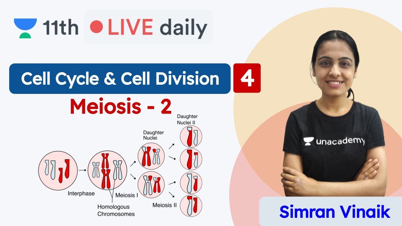 CBSE Class 11: Cell Cycle & Cell Division L4 | Unacademy Class 11 & 12 ...