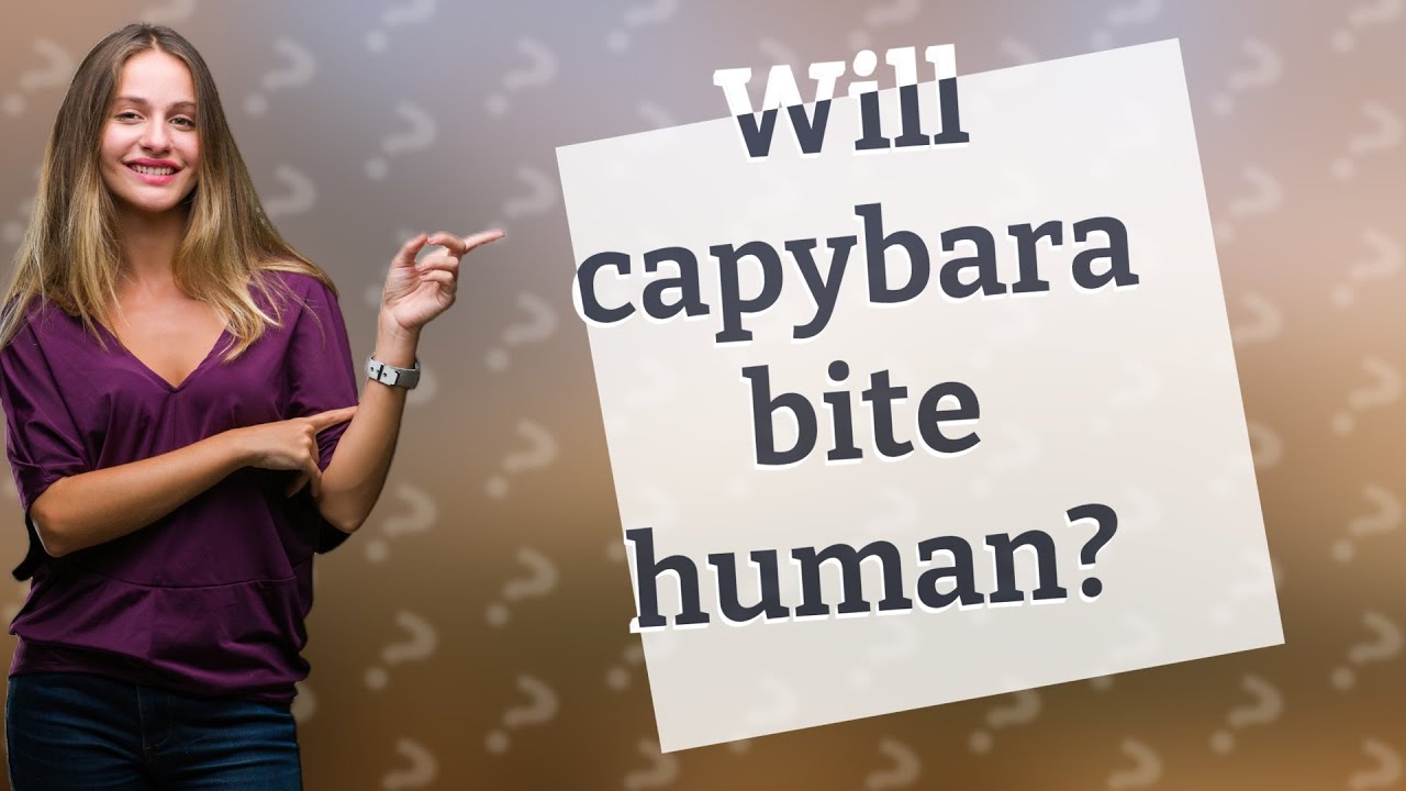 Will capybara bite human? - YouTube