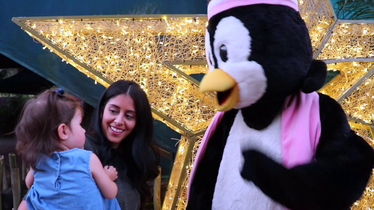 Holly Jolly Friday at Christmas in the Wild! - YouTube