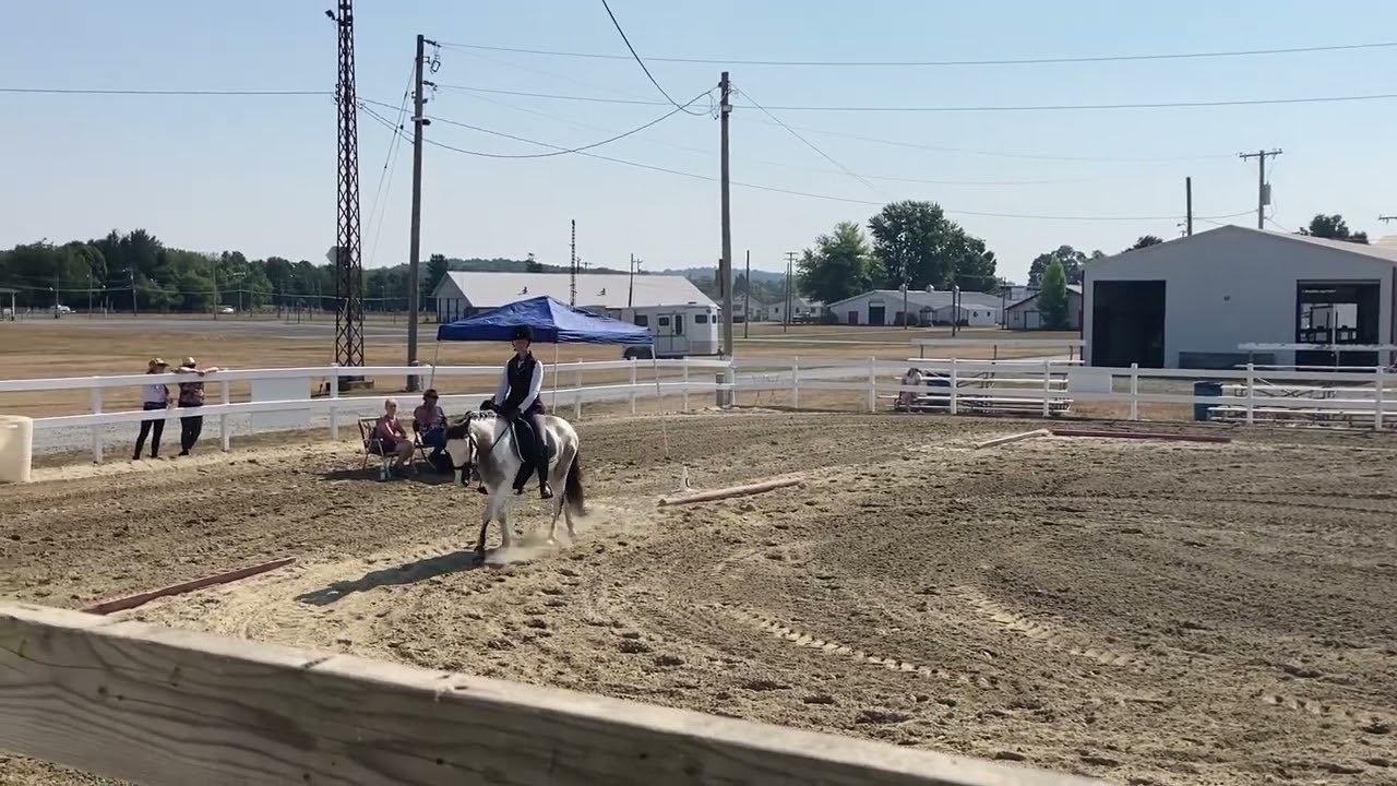 Working Equitation Level 2 dressage test - YouTube