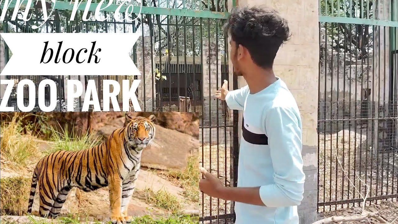 Karnataka Bellary zoo park block #trending - YouTube