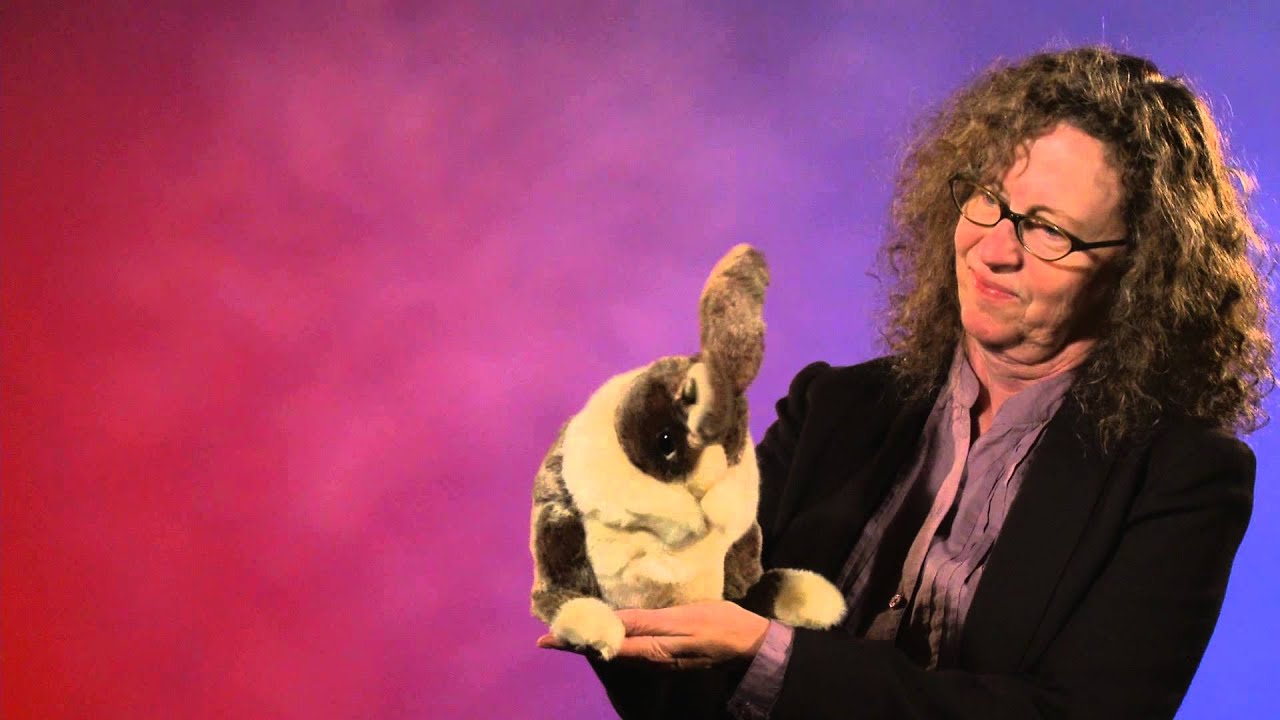 Folkmanis® Dutch Rabbit Puppet Demo - YouTube
