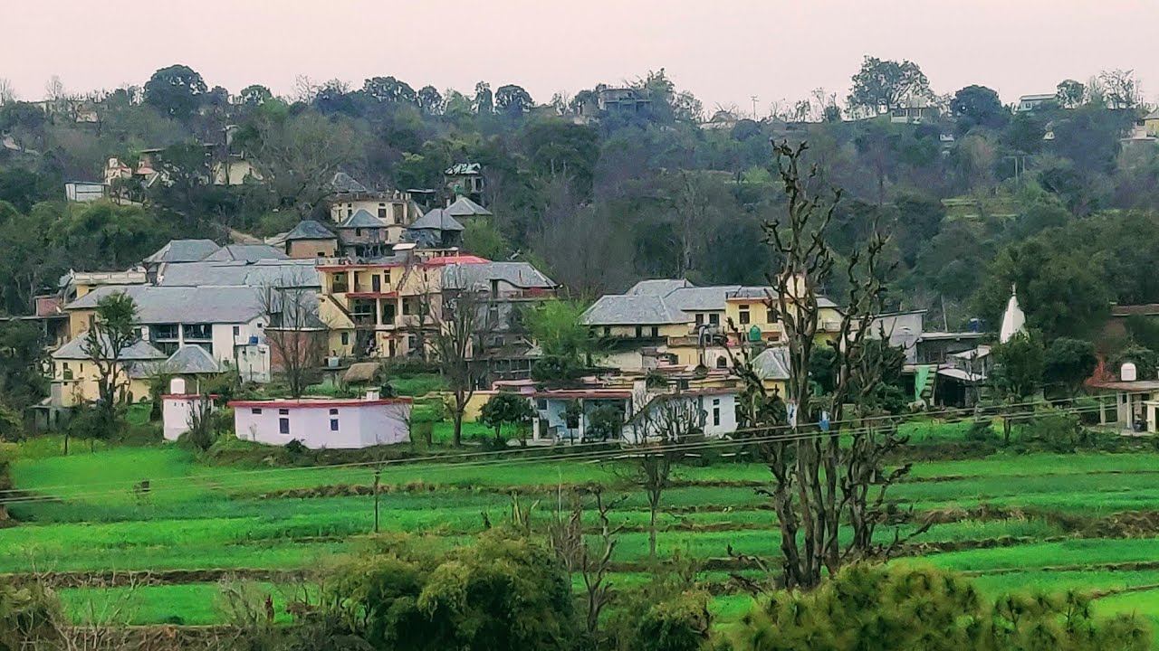 APNA PIND!! 🏞️ अपना पिंड ☺️ !! पट्टा ब्राह्मण 🏡 !! (BARSAR, BIJHAR ...