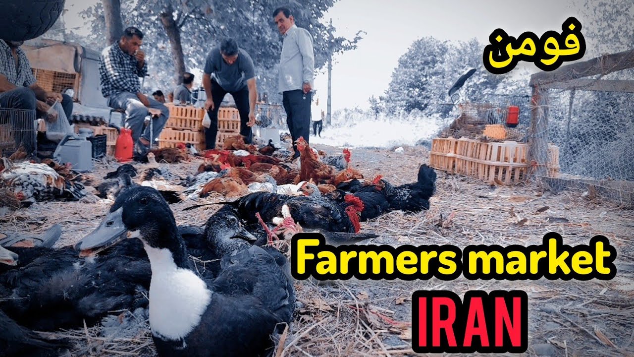 farmers market in fouman city, Iran.Fruit and vegetable market.سه شنبه ...
