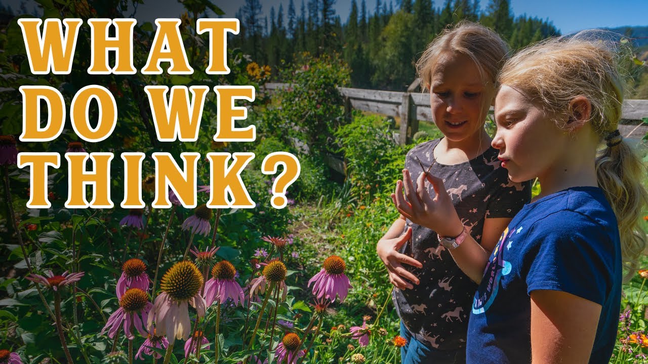 Home — Homesteading Family