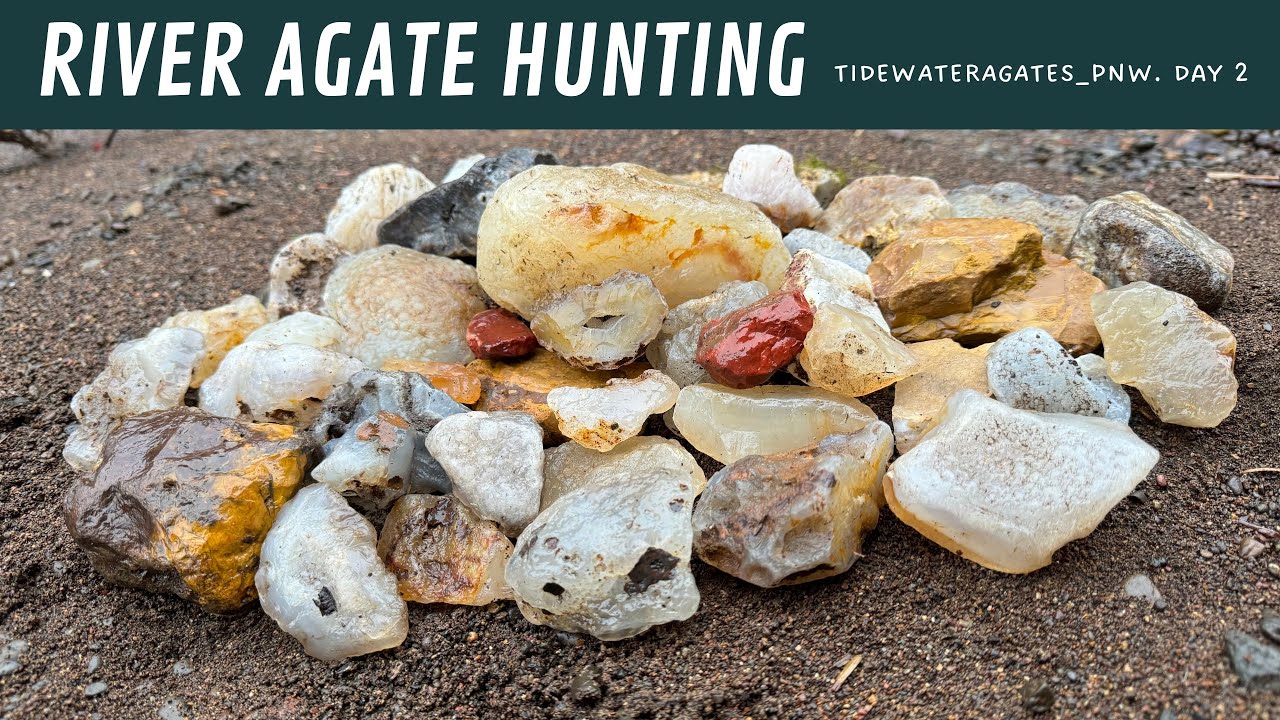 River Agate Hunting Day 2 (3 Pound Agate Found) - YouTube