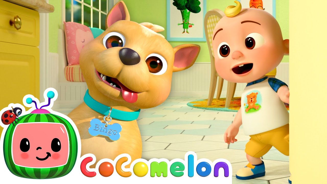 Bingo Hide and Seek Game! | Animal Birthday Party | CoComelon Nursery ...