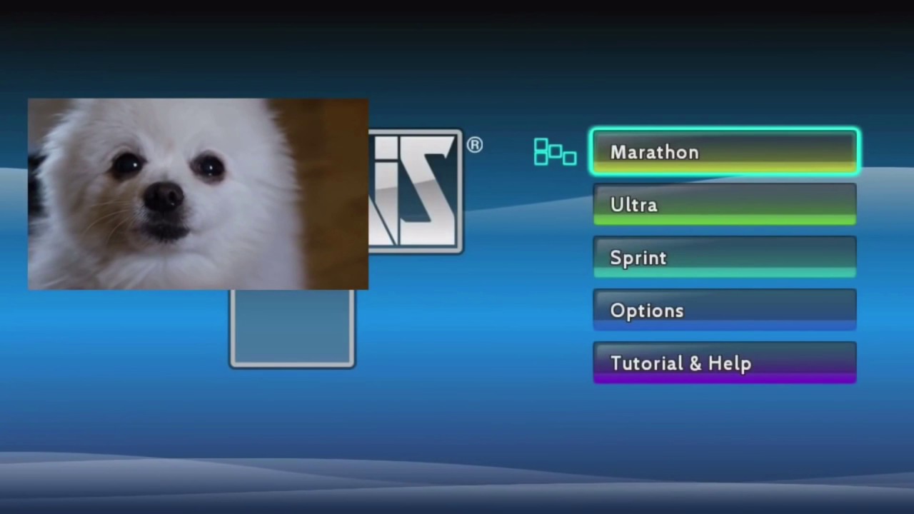 Gabe the dog Tetris remix+ my recreation - YouTube