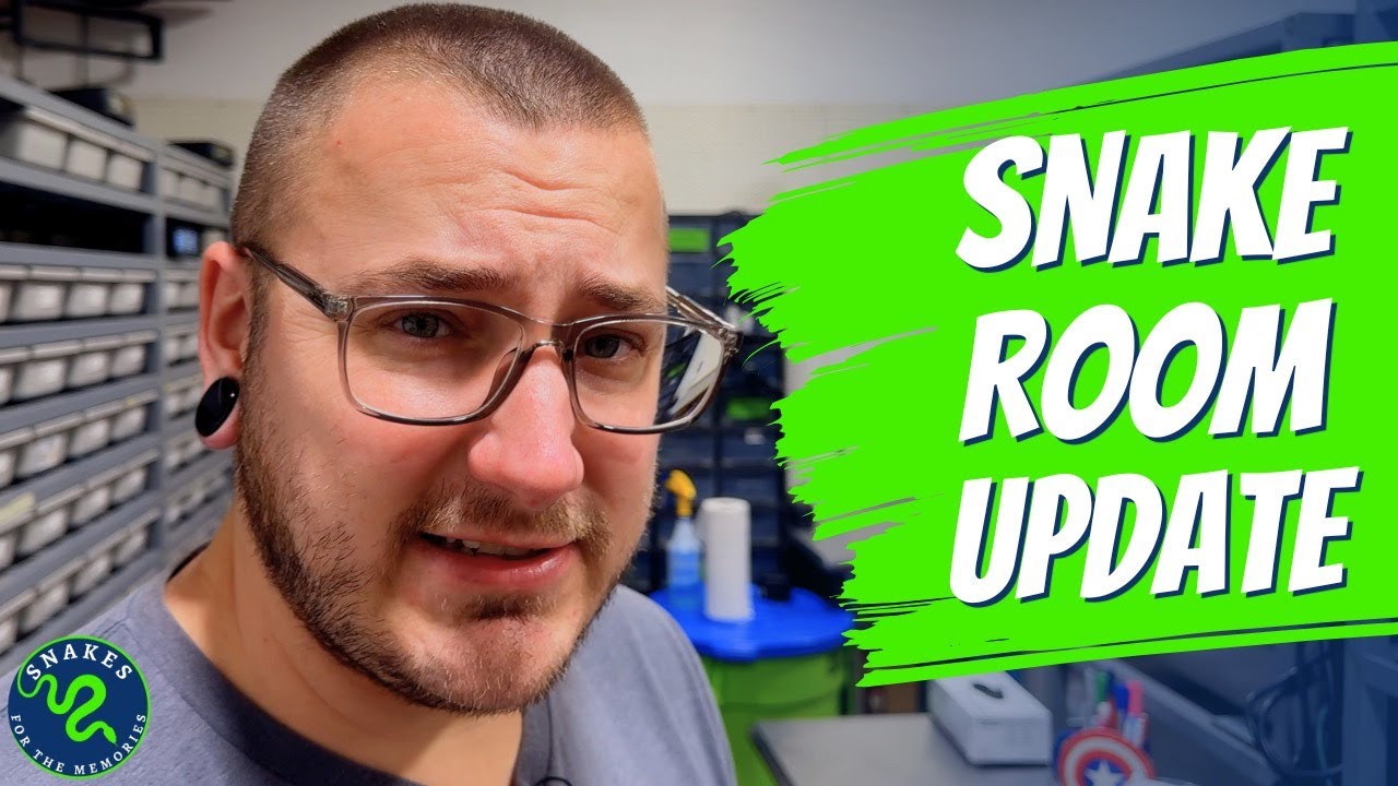 Massive Expansion! 🐍 New Snake Room Setup Tour | Snakes for the ...