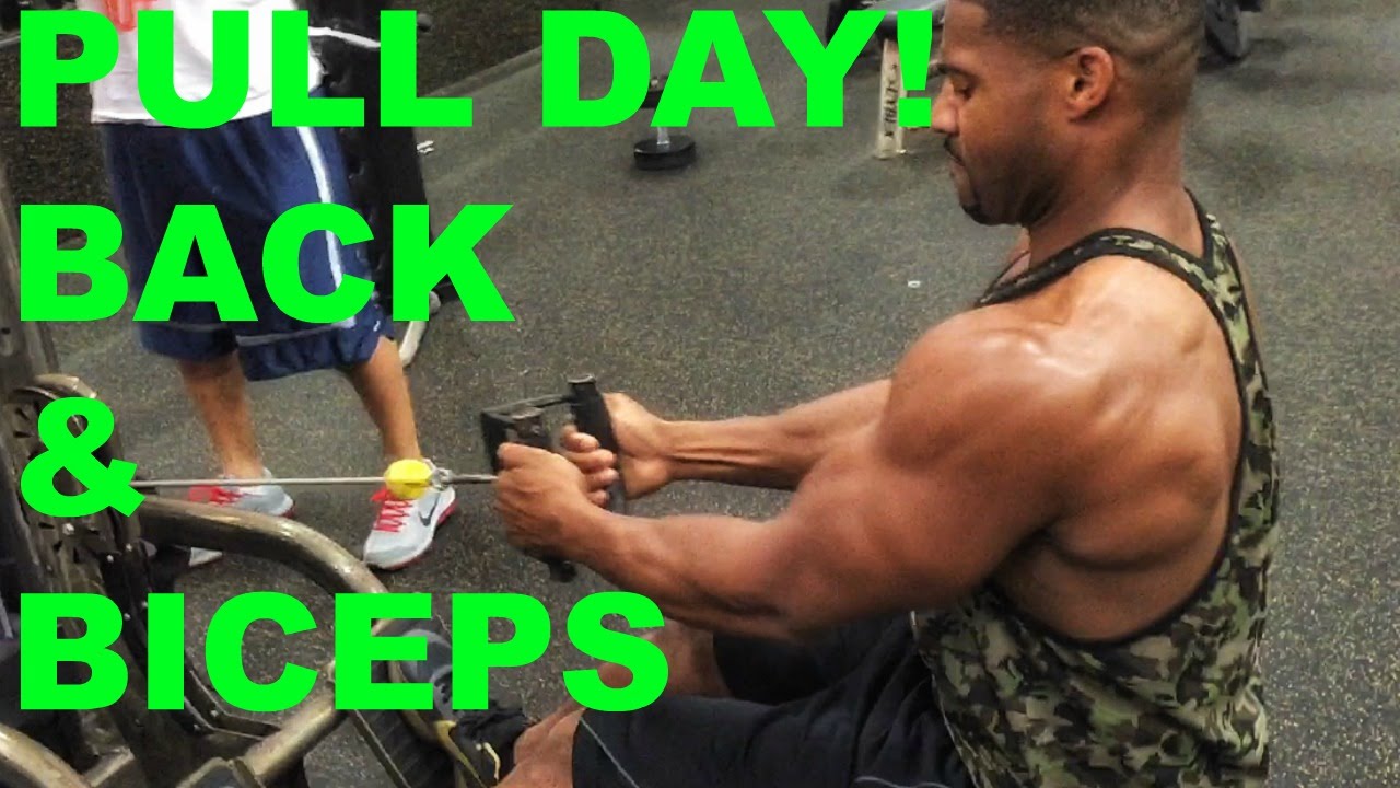 PULL DAY WORKOUT | BACK & BICEPS - YouTube