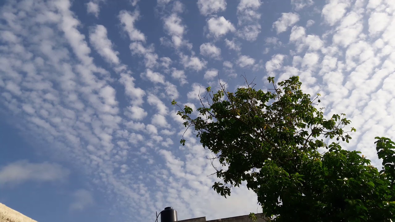 20180620 075234 - YouTube