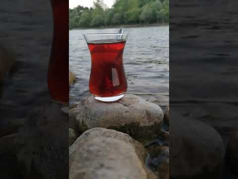 Çay doğa huzur