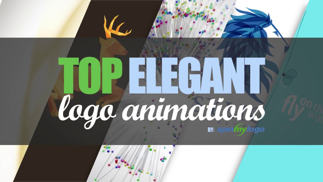 Top Elegant Logo Animations By Spin My Logo - YouTube
