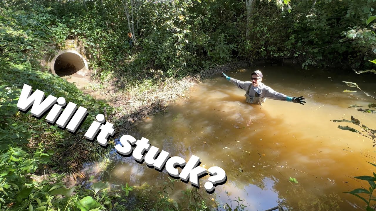 Beaver Dam Collapse In to The CULVERT! - YouTube