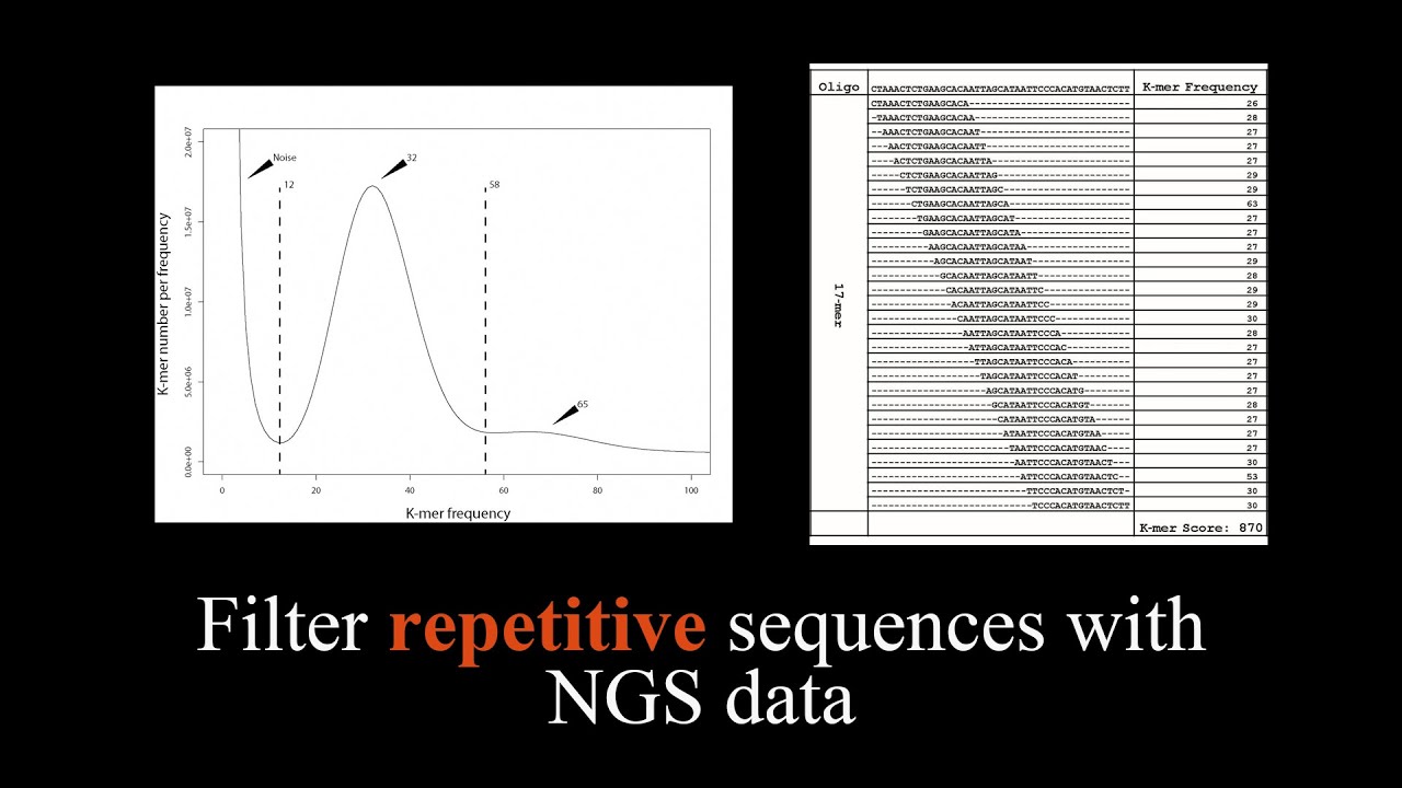 Filter repetitive sequences with NGS data - YouTube