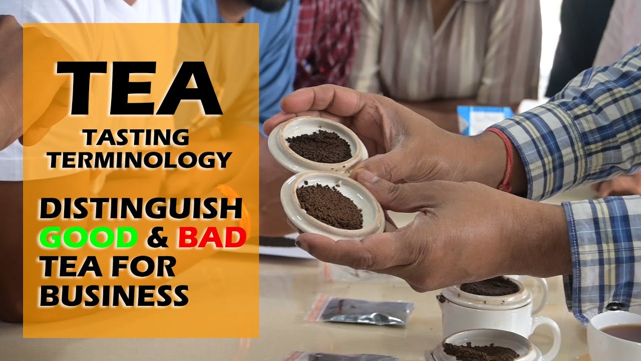 Prioritizing Your Tea Tasting Terminology Good Tea And Bad Tea To Get ...