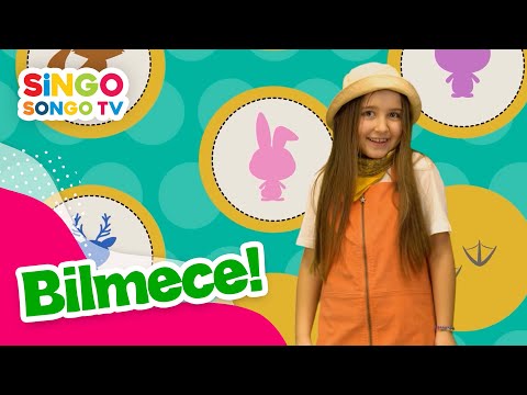 BİLMECE 🤔😀 - SİNGOSONGO TV I ÇOCUK ŞARKILARI 🎵