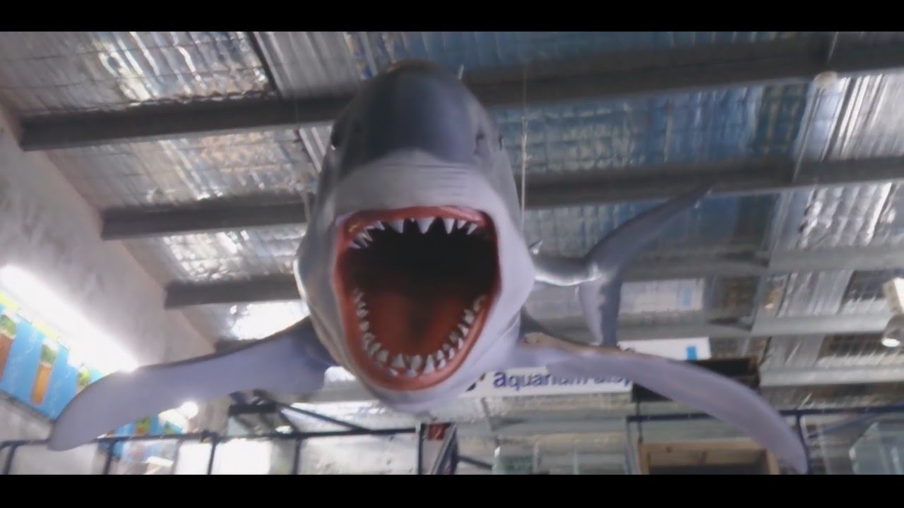 Shark Tank - The Building of a Dream! - YouTube