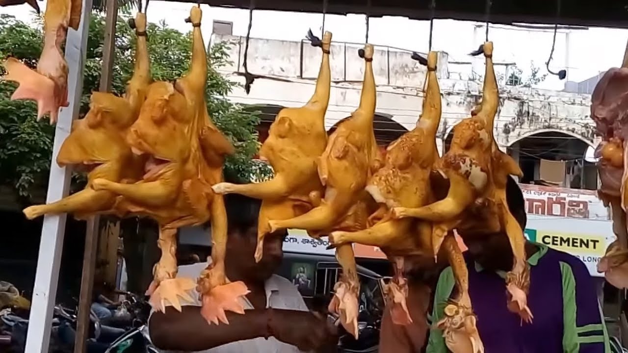 Very Tasty 4kg Giriraja Chicken with Biryani | Awesome Chicken Recipe ...