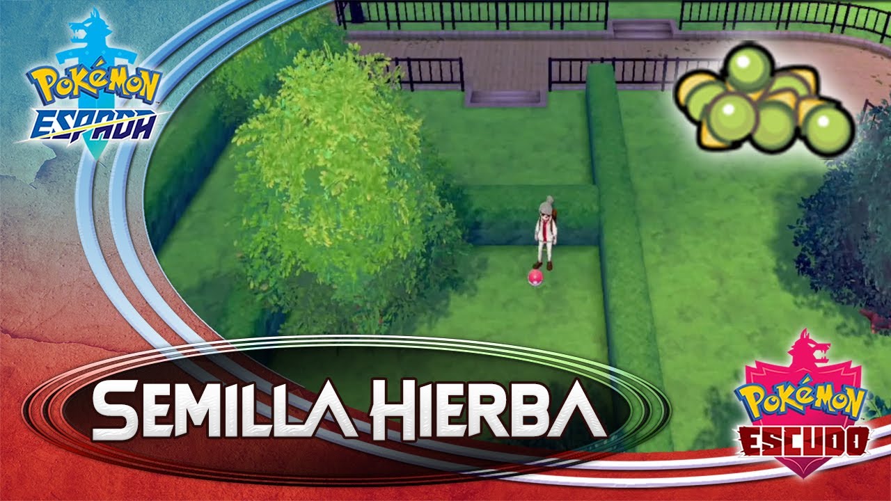 Cómo CONSEGUIR la SEMILLA HIERBA en POKÉMON ESPADA Y ESCUDO 💥 GUÍA ...