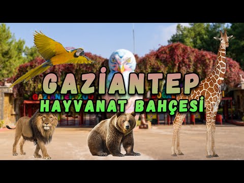 Gaziantep Hayvanat Bahçesi 🦁 Türkiye'nin En Büyük Hayvanat Bahçesi!