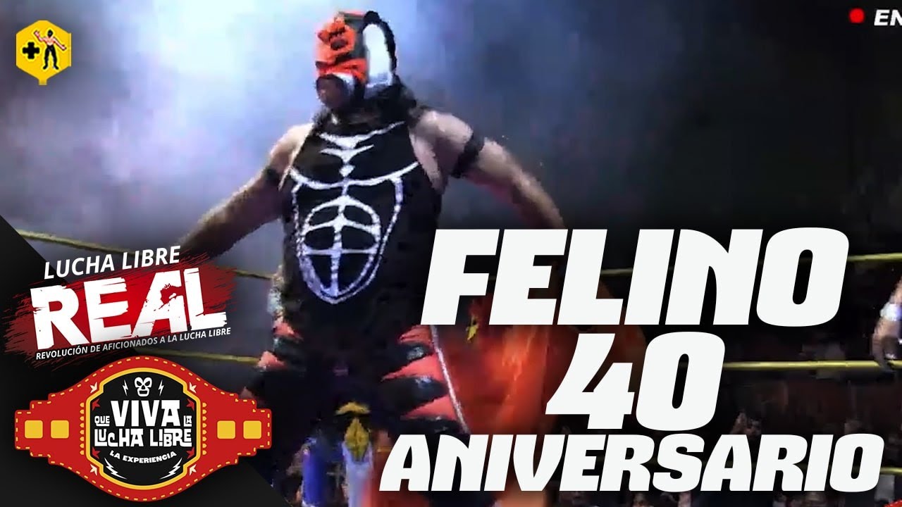 ¡Ya llegó el festejado! | Asi llega Felino a su 40 Aniversario a lado ...