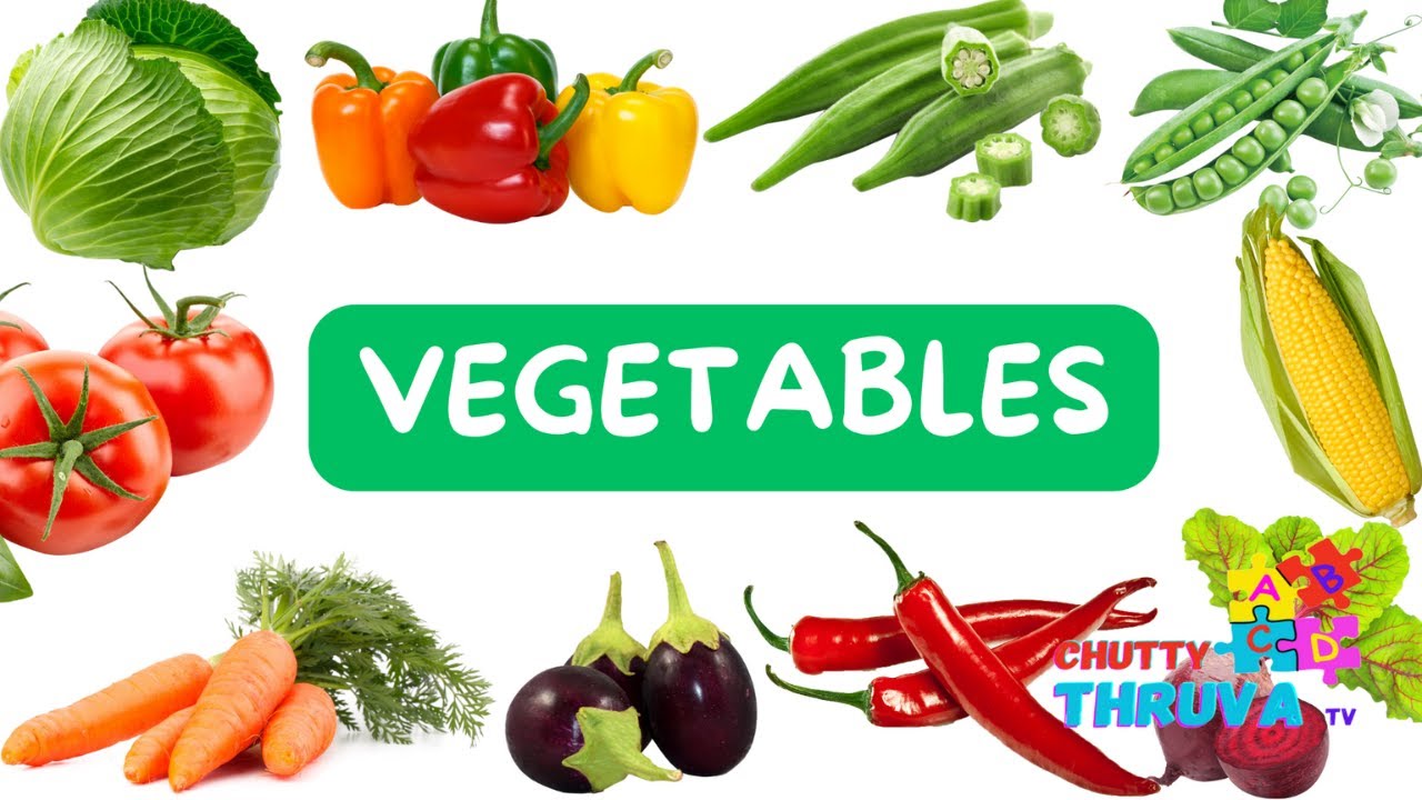 learn vegetables for toddlers | different types of vegetables names ...