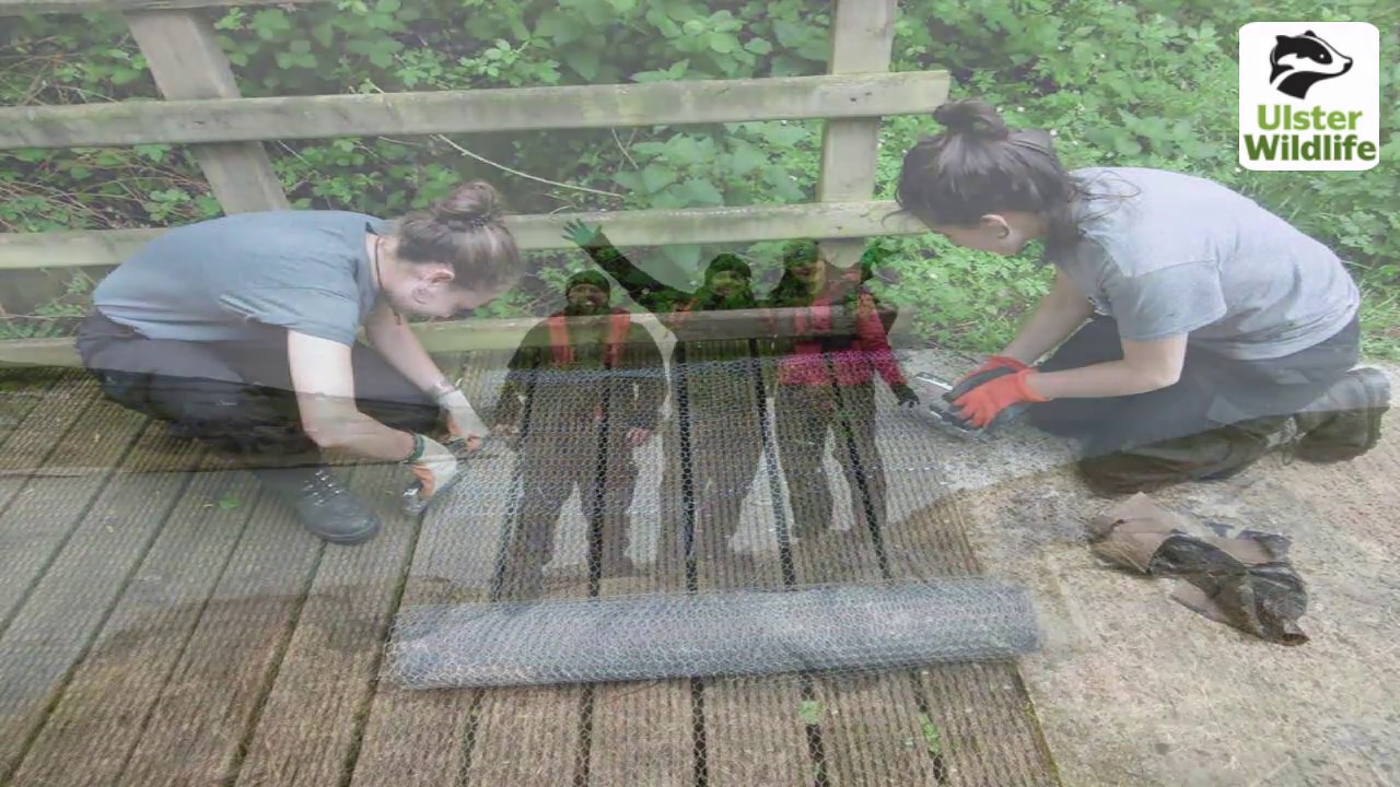 Apply now for our Nature Skills Traineeships - YouTube