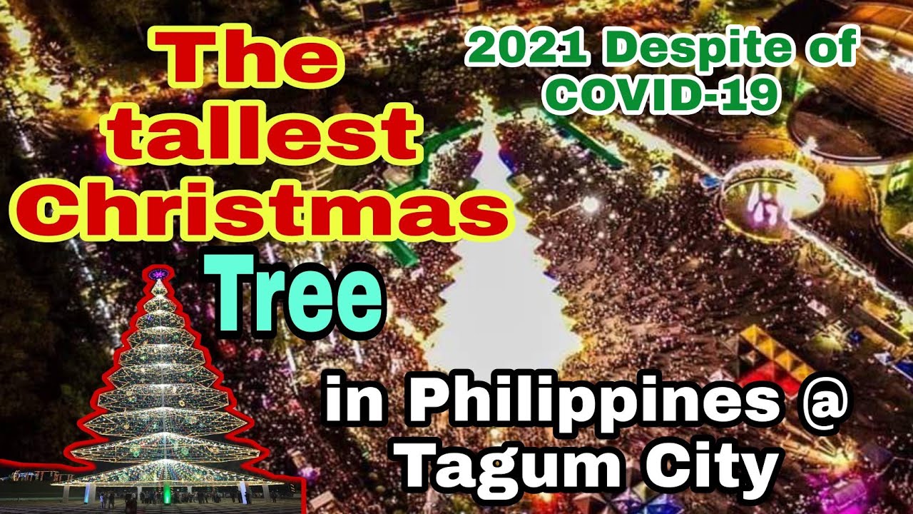 THE TALLEST CHRISTMAS TREE 2021-Lighting The Tallest Christmas tree in ...