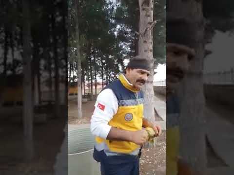 Urfalı sağlıkçı urfa şivesiyle anlatıyor