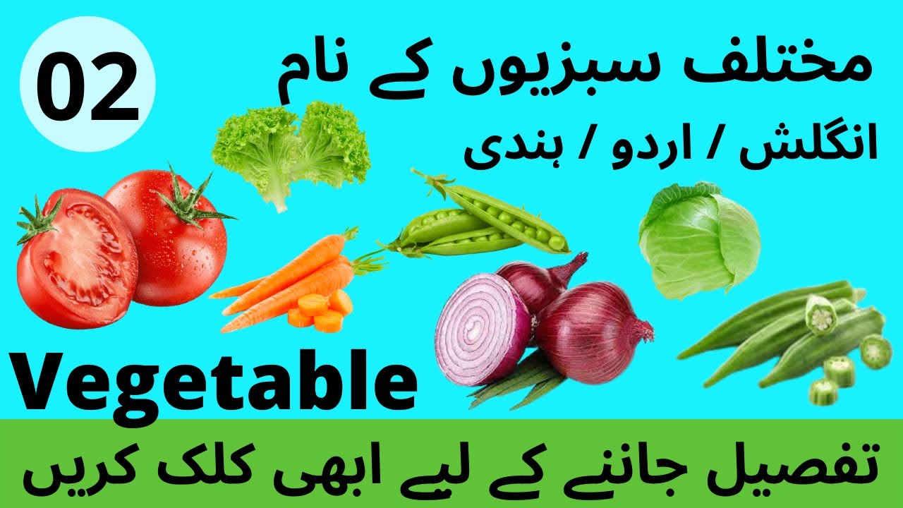 Vegetable Names In English And Urdu My First Bilingual Book