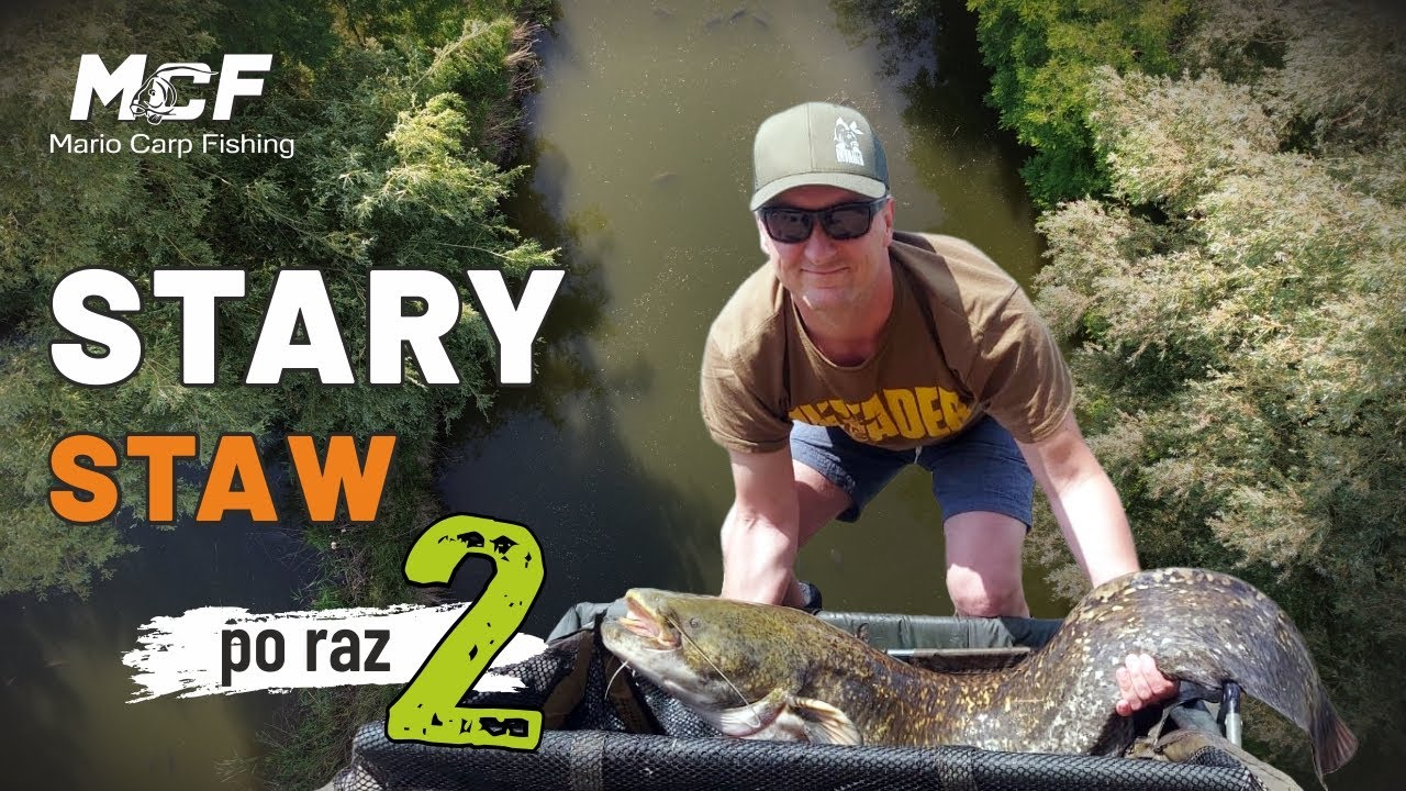 STARY STAW po raz drugi / SUM GIGANT/ - YouTube