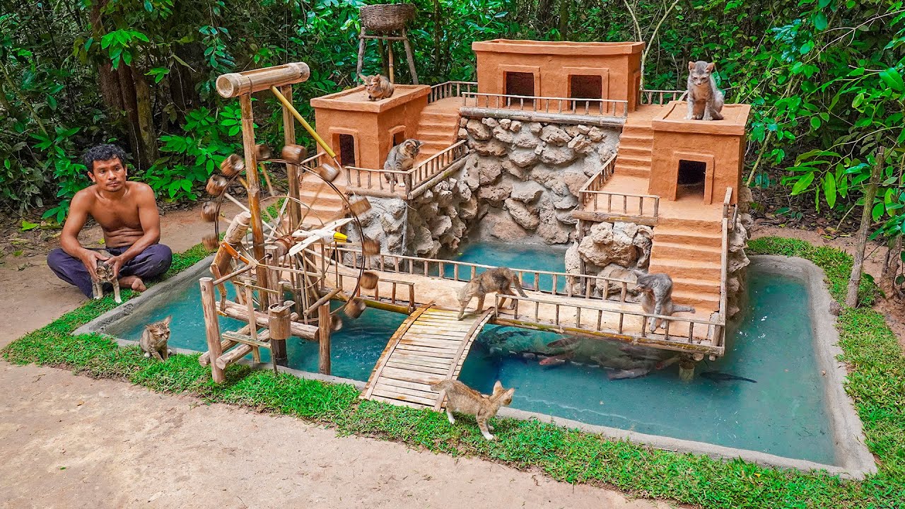 Collect Cats Under Raining Storm Build House for Cat Shelter - YouTube