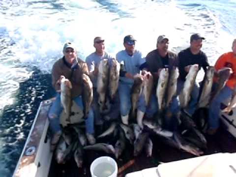 Cod Fishing Gloucester MA - YouTube