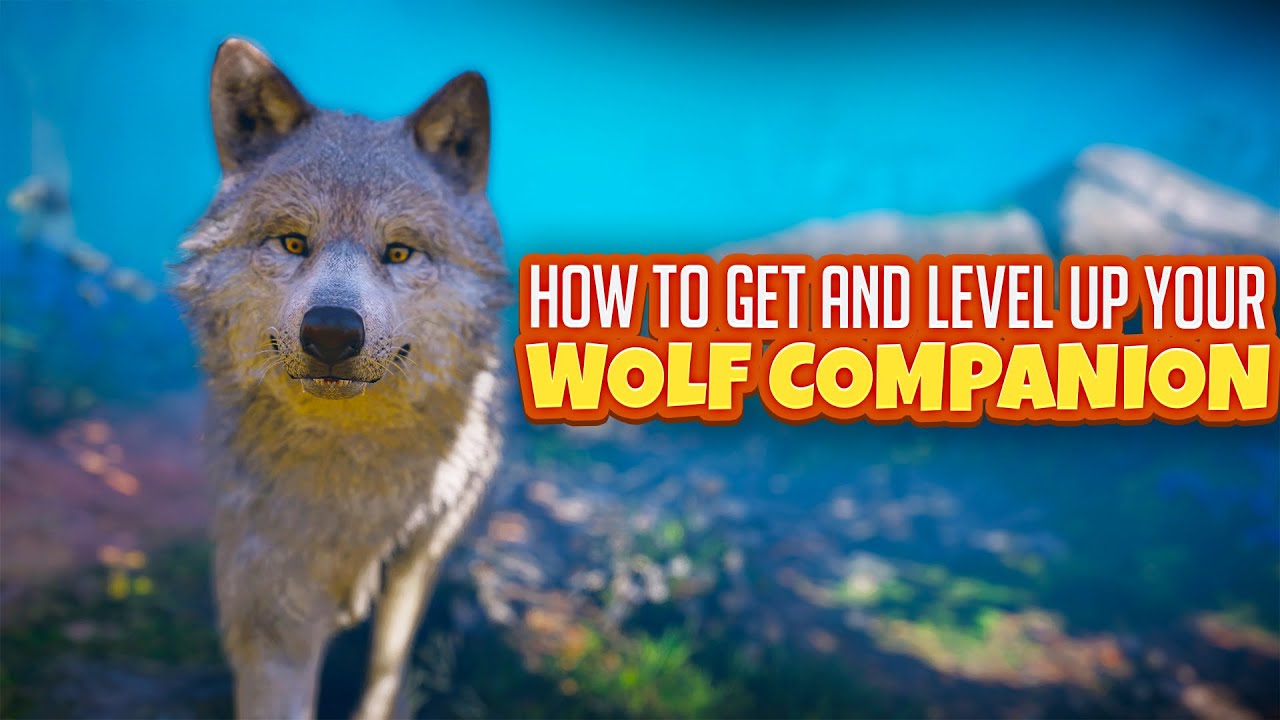 Assassins Creed Valhalla - How to Get the Secret Wolf Companion (Man's ...