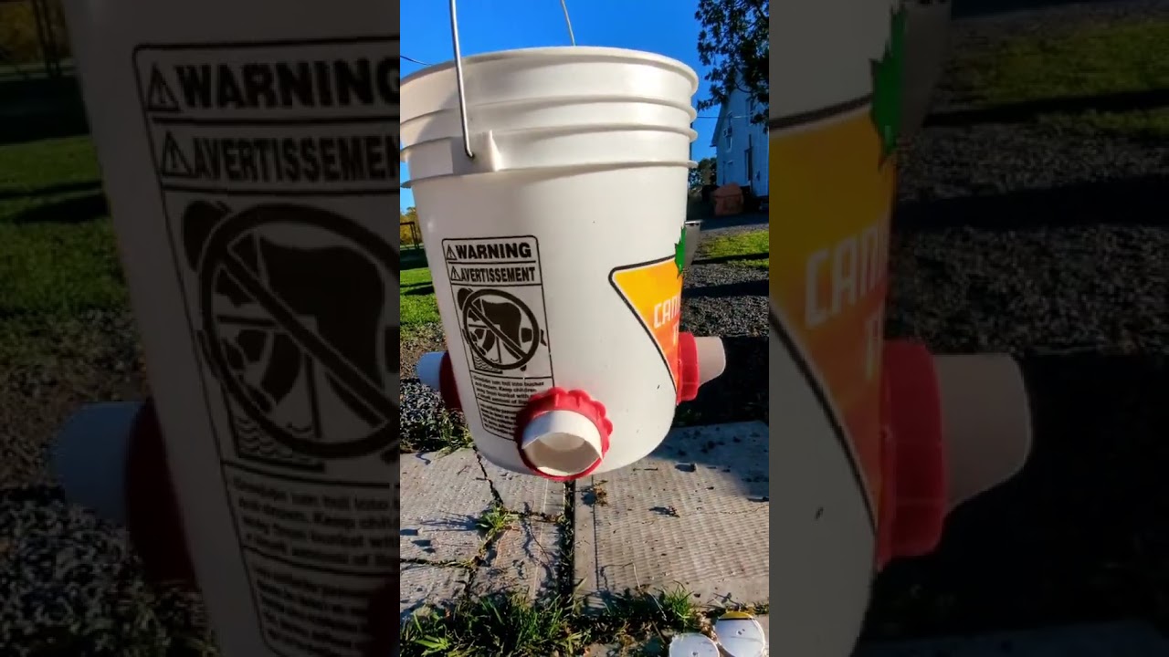 DIY Chicken Feeders (Amazon Find)