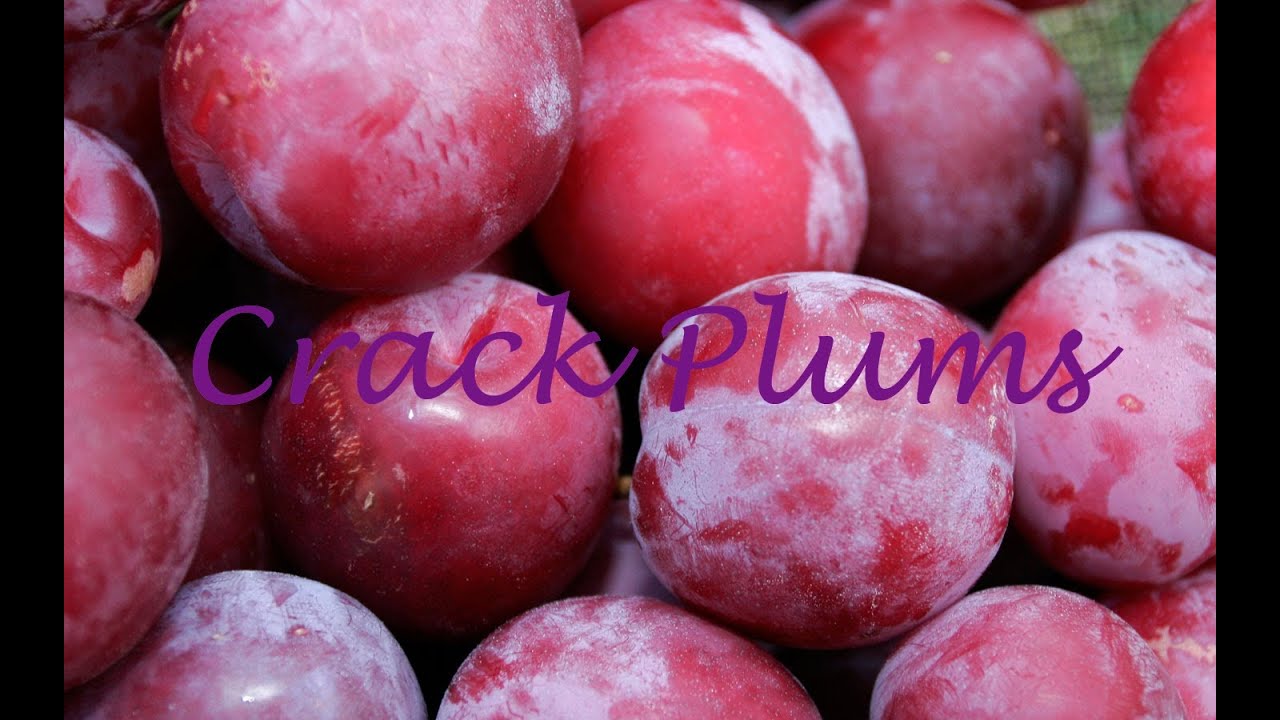 Crack Plums - YouTube