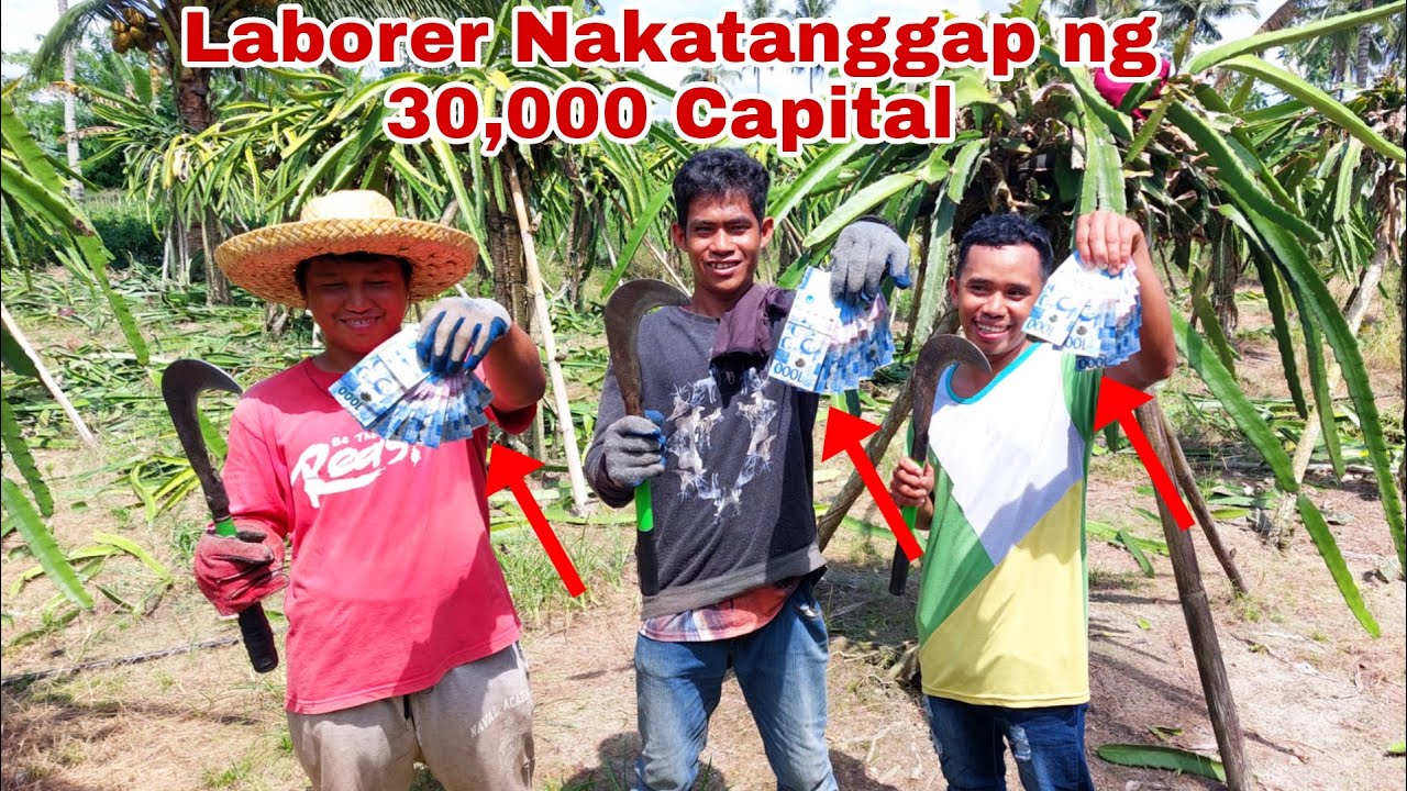 3 Laborer Nibiyayaan ng 30,000 Matapos mag Graduate sa Actual Farming ...