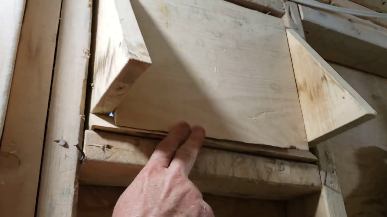 Drop down Trap Door | Good idea | Racing homer Pigeon - YouTube