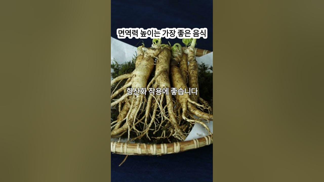 면역력 높이는 가장 효과적인 방법 Shorts 쇼츠 건강 음식 면역력높이는법 파프리카 토마토 마늘 Youtube