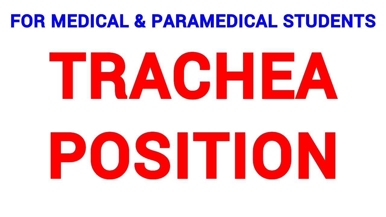 POSITION OF TRACHEA | CLINICAL LAB | PHYSIOLOGY - YouTube