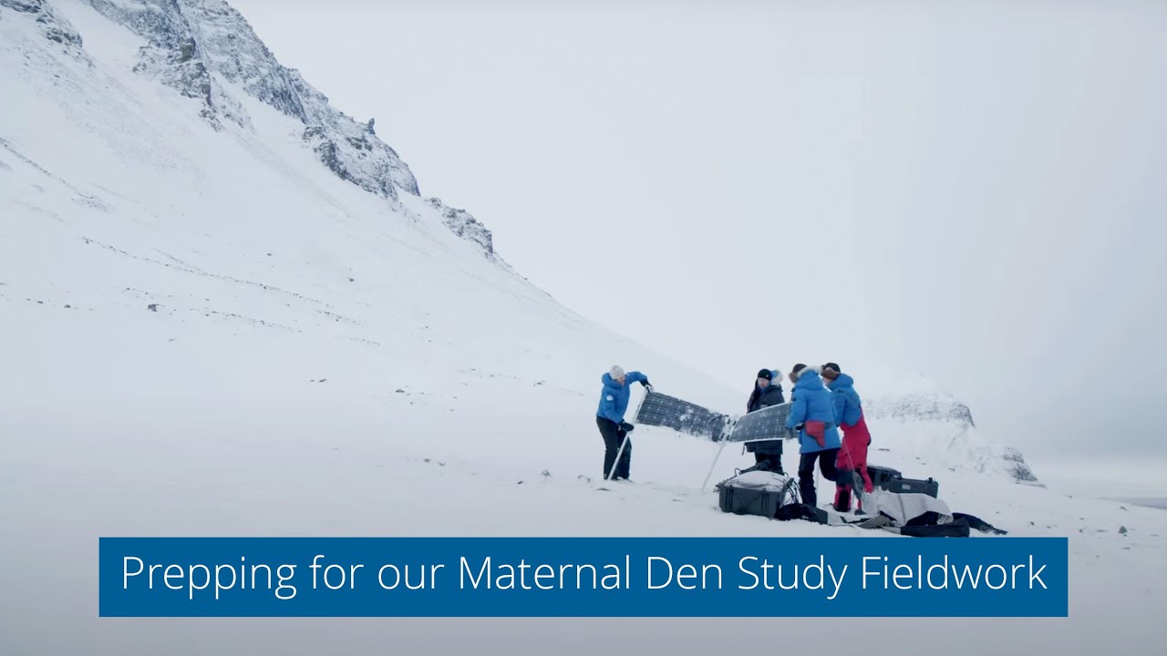 Prepping for Maternal Den Study Fieldwork in Svalbard, Norway - YouTube