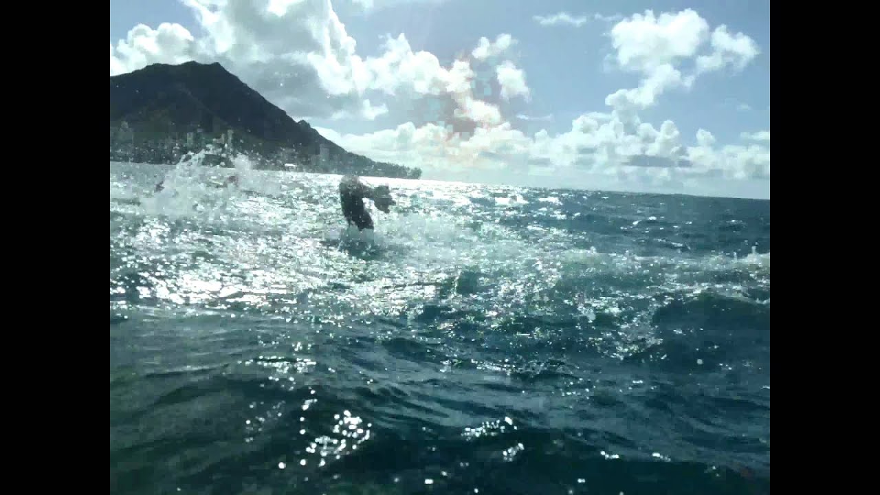 Waikiki Rough Water Swim Turn Buoy 1 - YouTube