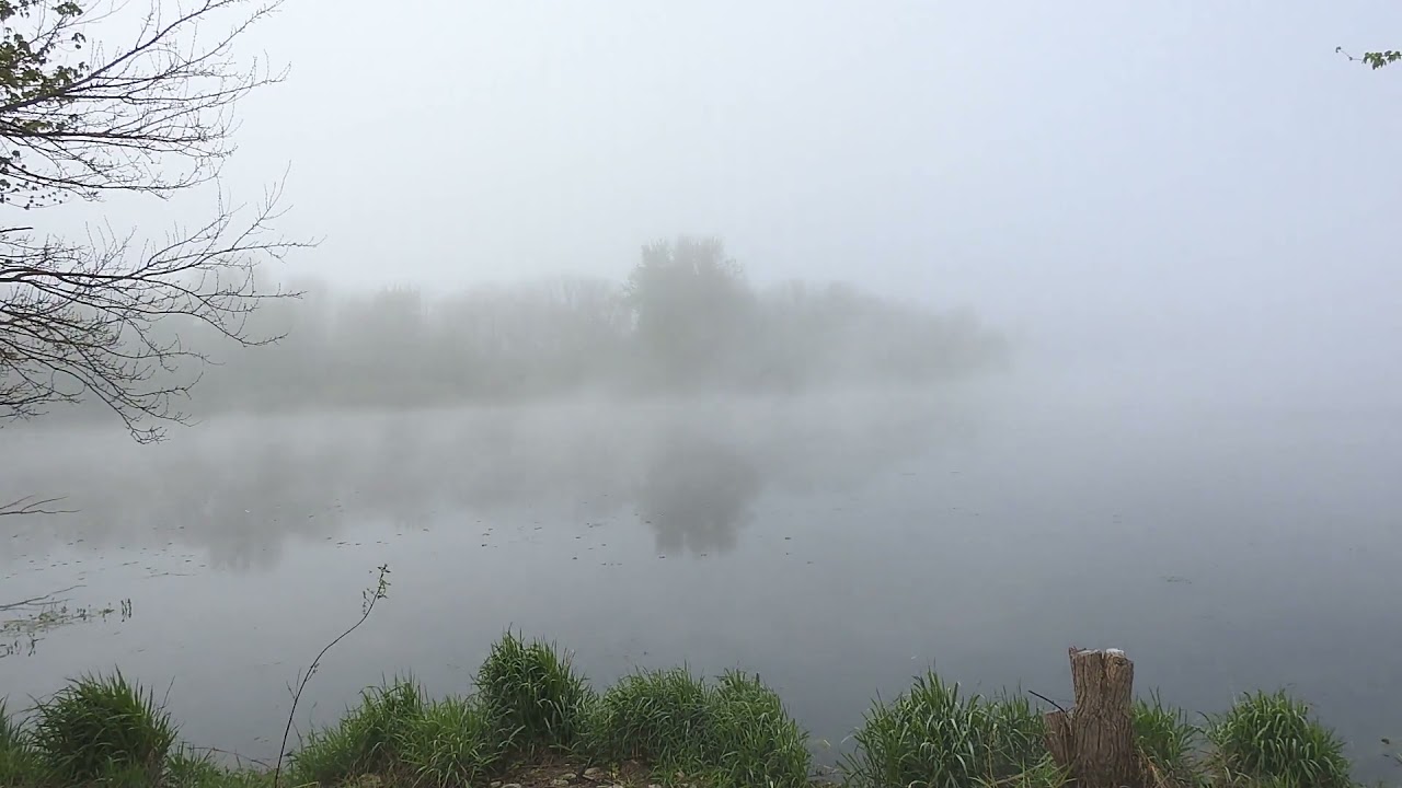 Little Turkey Lake Morning - YouTube