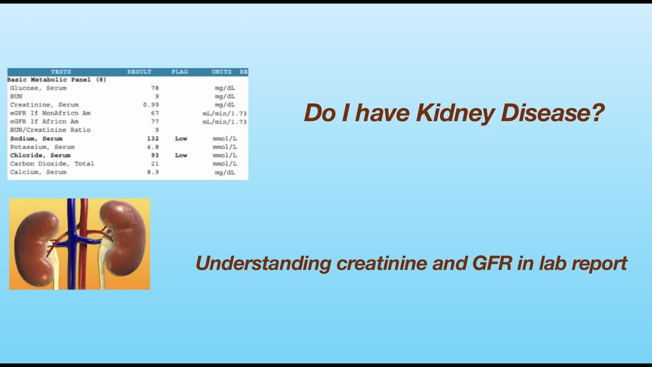How can You tell if you have kidney disease? Understanding creatinine ...