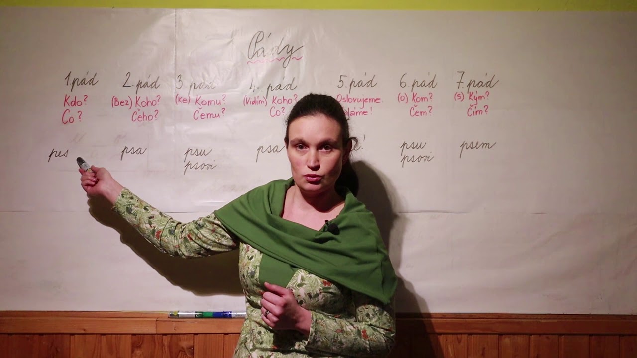 Český jazyk - Podstatná jména - Pády - YouTube