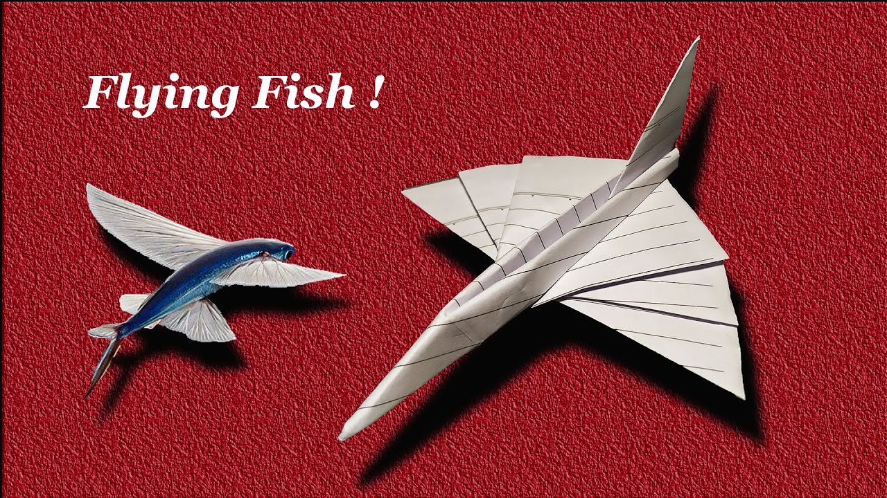 Membuat Origami Pesawat Kertas Ikan Terbang | Flying Fish Paper Plane ...