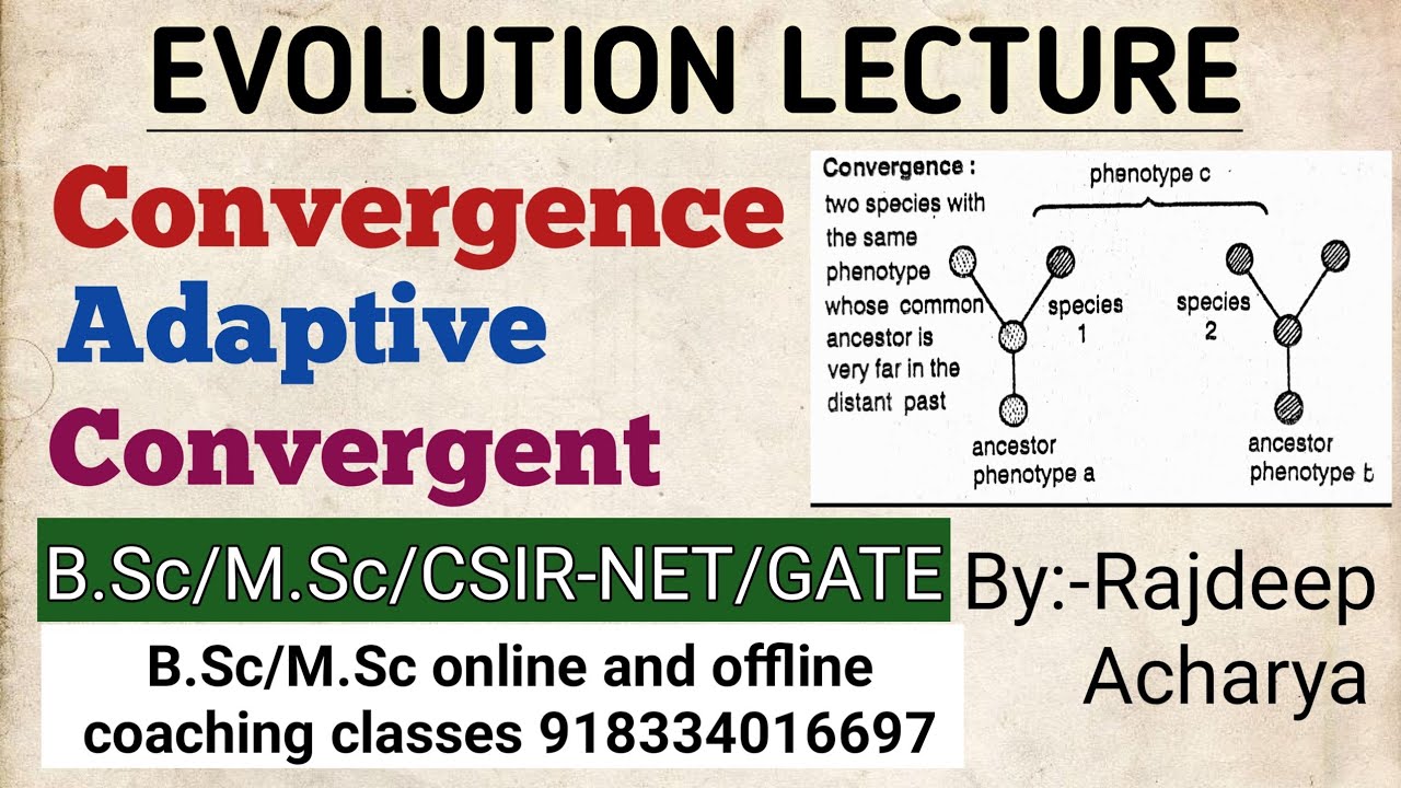 Convergence | Adaptive convergent - YouTube