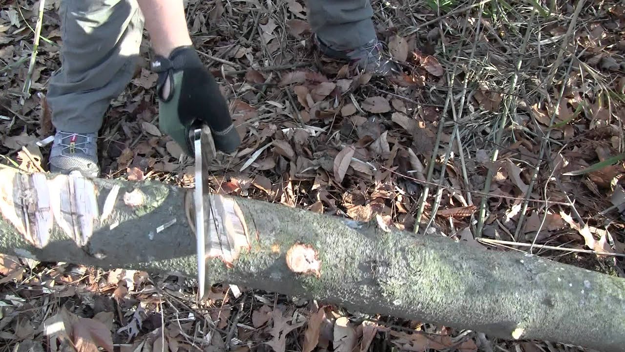 Busse Fusion Battle Mistress Limited Edition (FBMLE) (Close-up) (HD ...